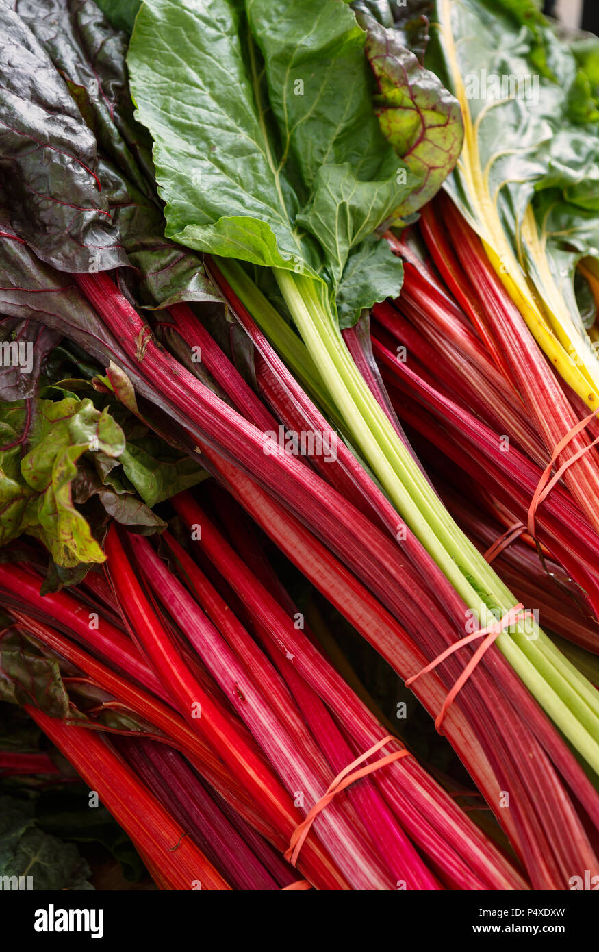 Cancer prevention diet hi-res stock photography and images - Alamy