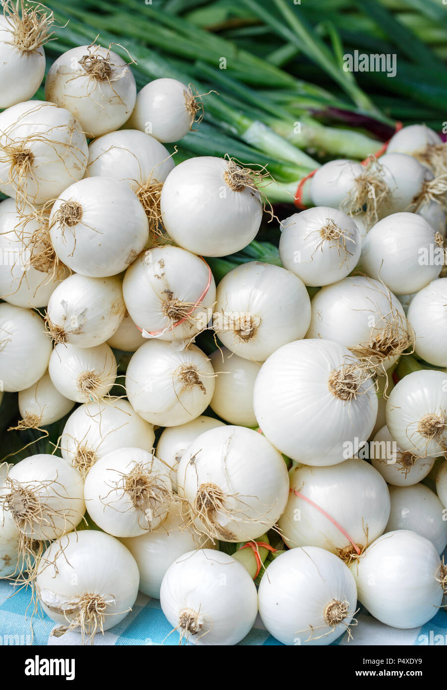 Roots market hi-res stock photography and images - Alamy