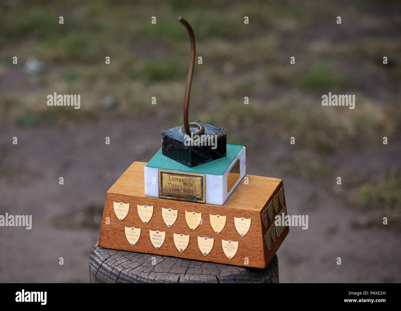 Willaston world worm hi-res stock photography and images - Alamy