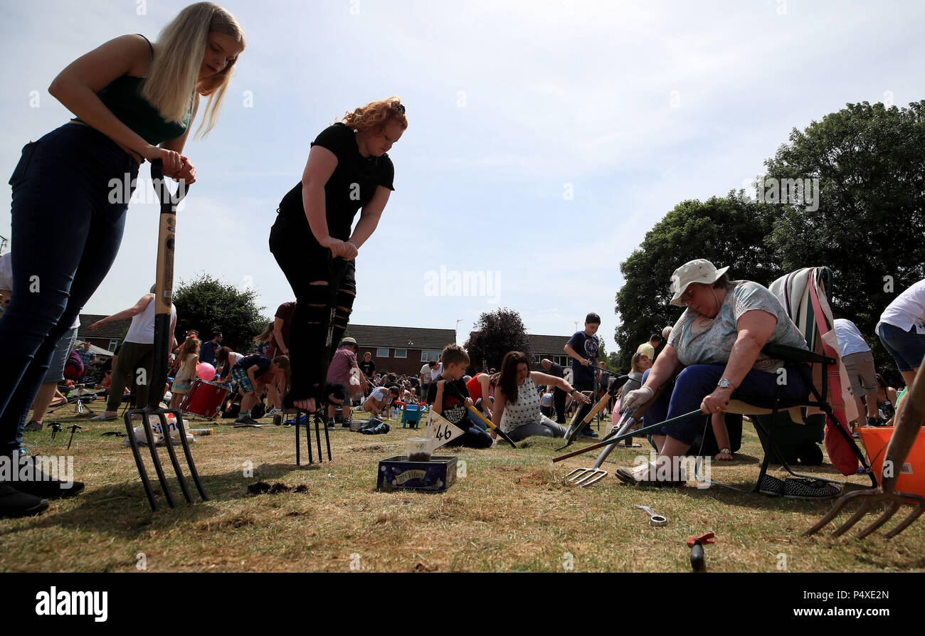 World worm charming championships willaston county primary school hi ...