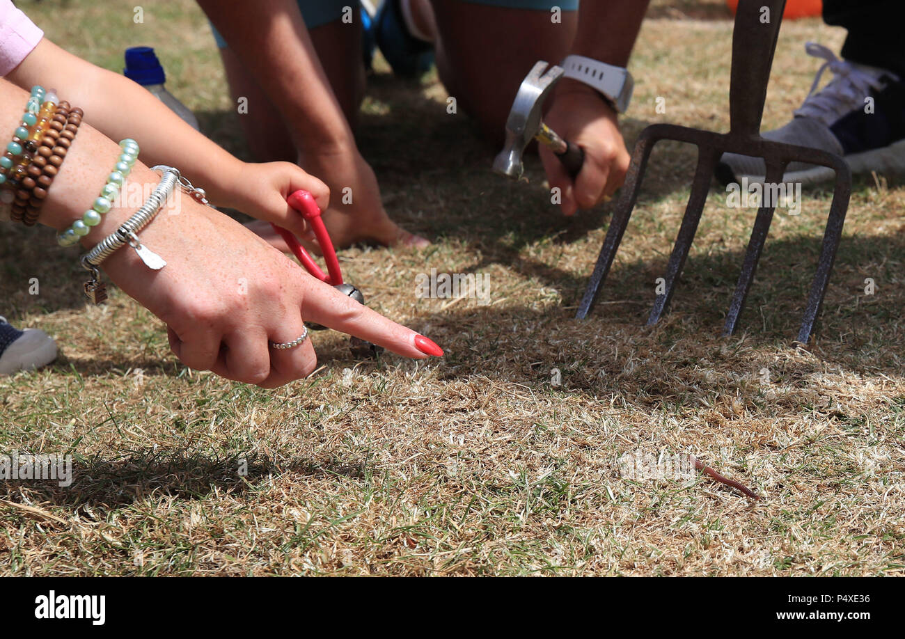 World worm charming championships willaston county primary school hi ...