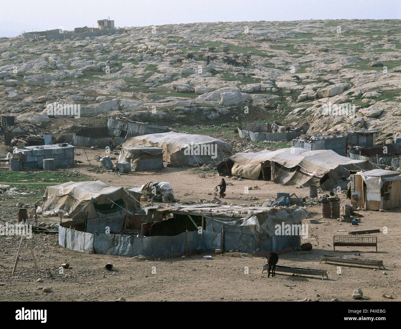 Bedouin nomads israel hi-res stock photography and images - Alamy