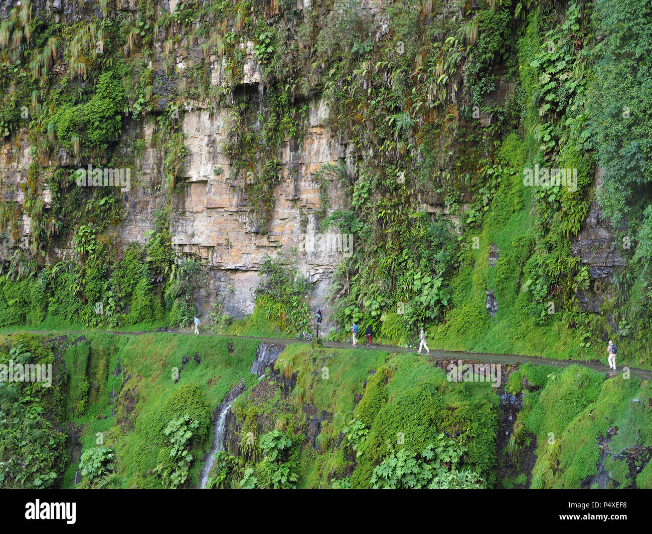 Tourists walk on the death road, the worlds most dangerous road, on the ...