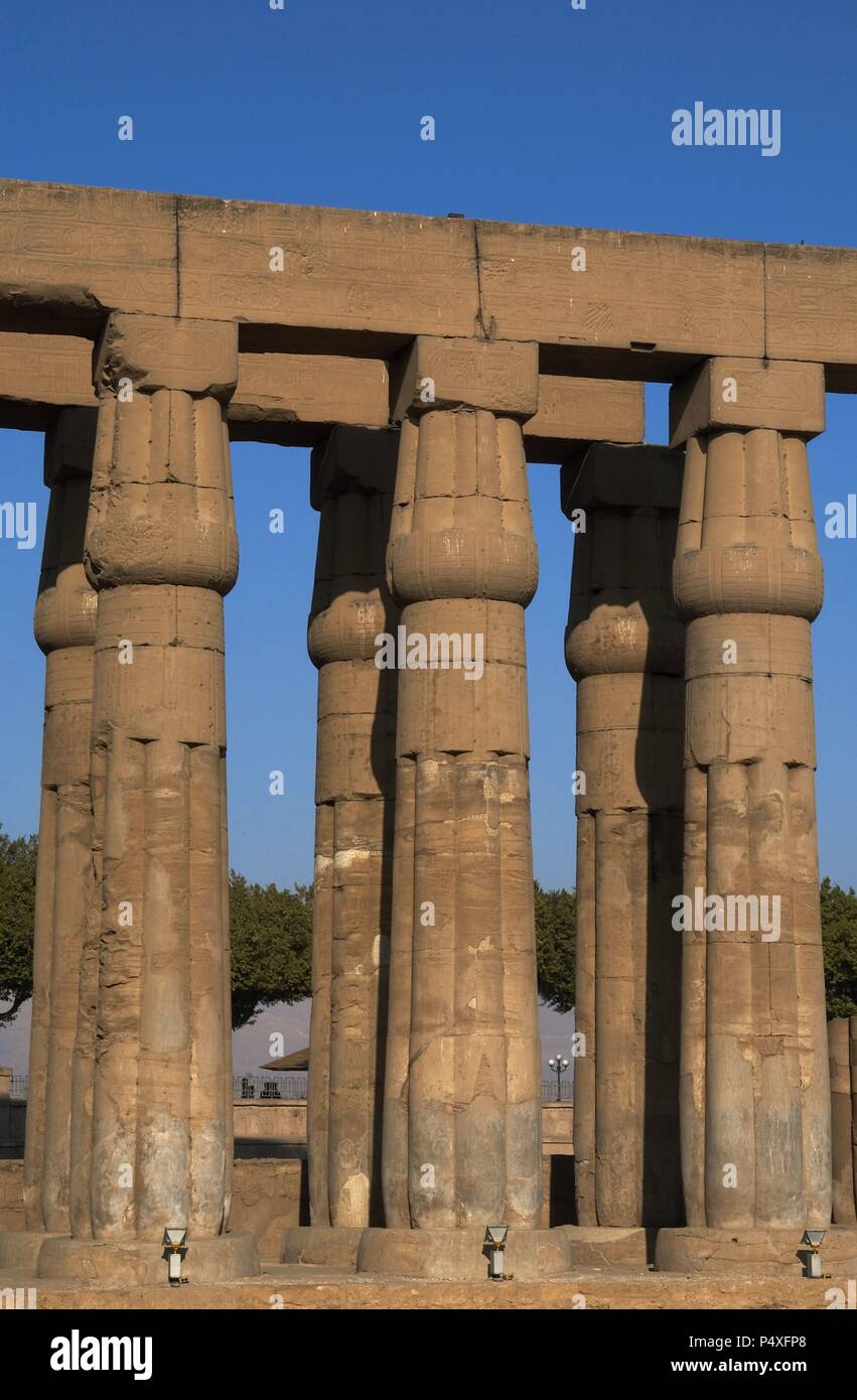 EGYPT. Luxor temple. Court of Amenhotep III composed by fasciculate ...