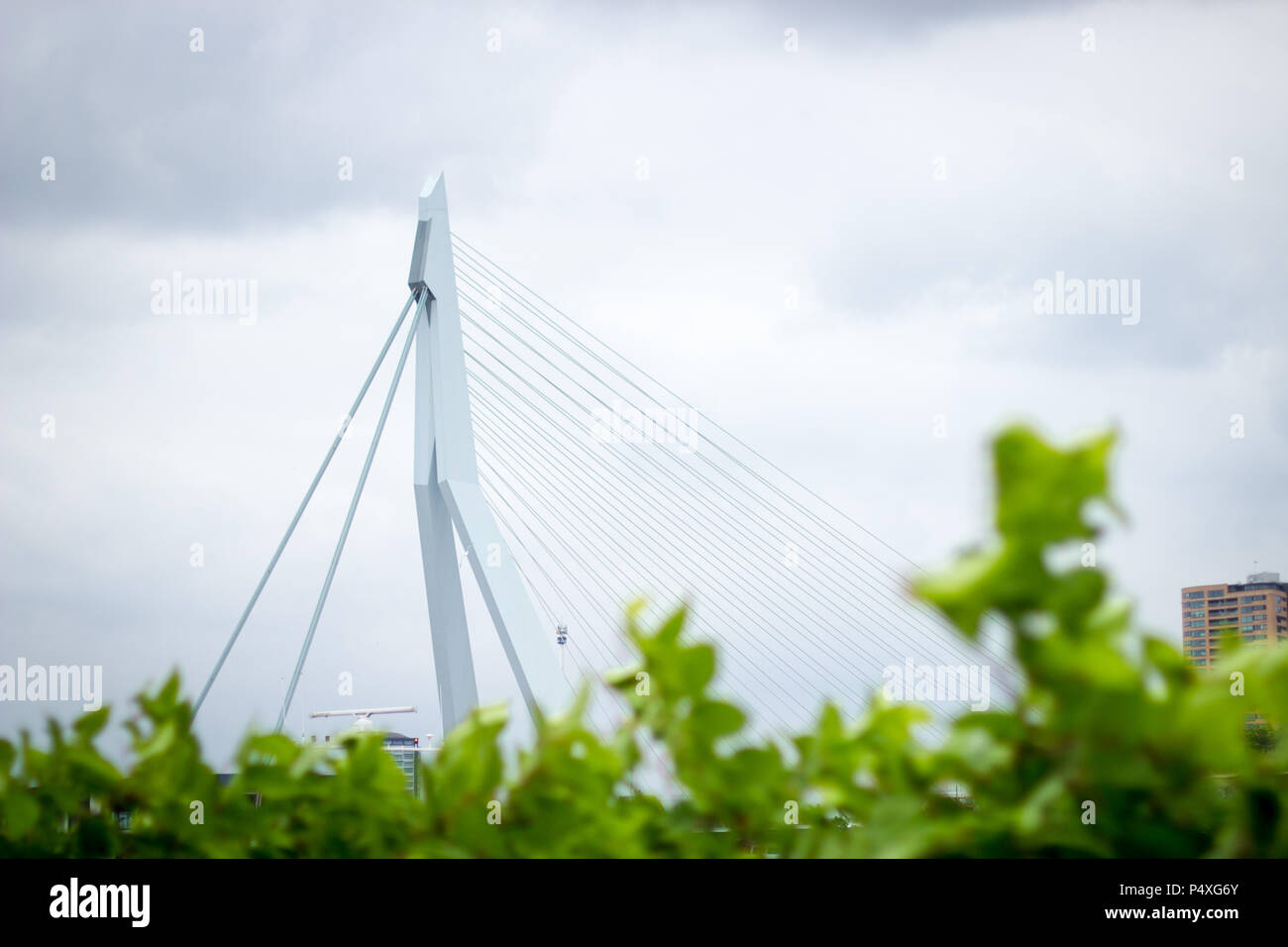 Cable bridge hi-res stock photography and images - Alamy