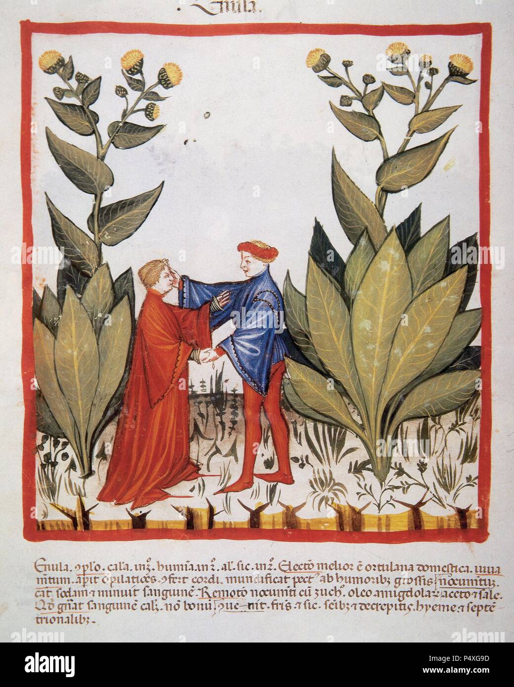 Tacuinum Sanitatis. Medieval Health Handbook, dated before 1400, based ...