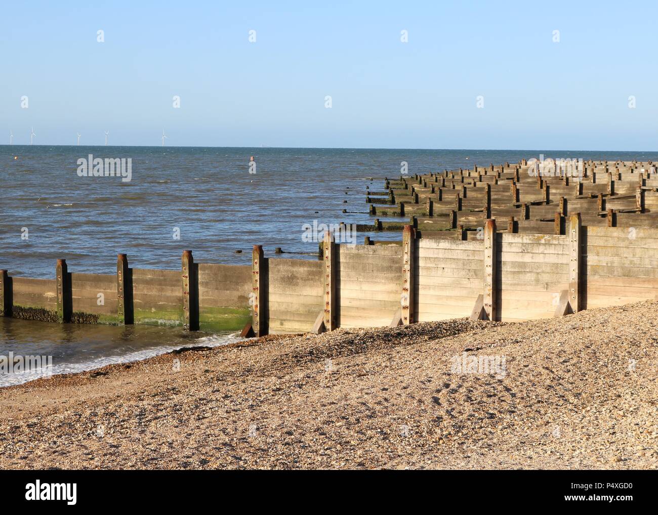 Groynes at Whitstable Beach , Kent Stock Photo - Alamy