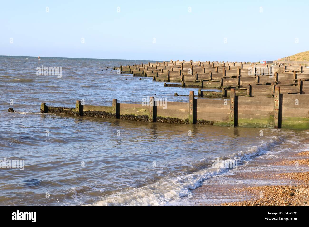Groynes at Whitstable Beach , Kent Stock Photo - Alamy