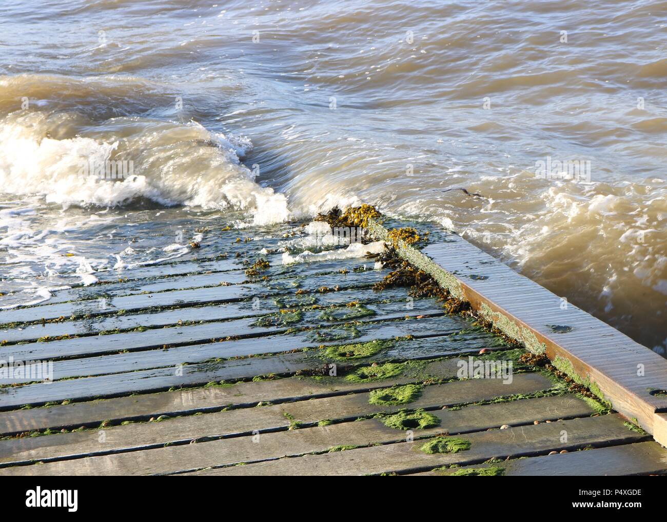 Seaweed on boat ramp hi-res stock photography and images - Alamy