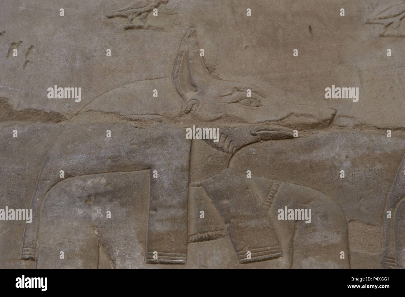 Egypt. Edfu. Temple of Horus. Relief depicting the jackal-headed God ...