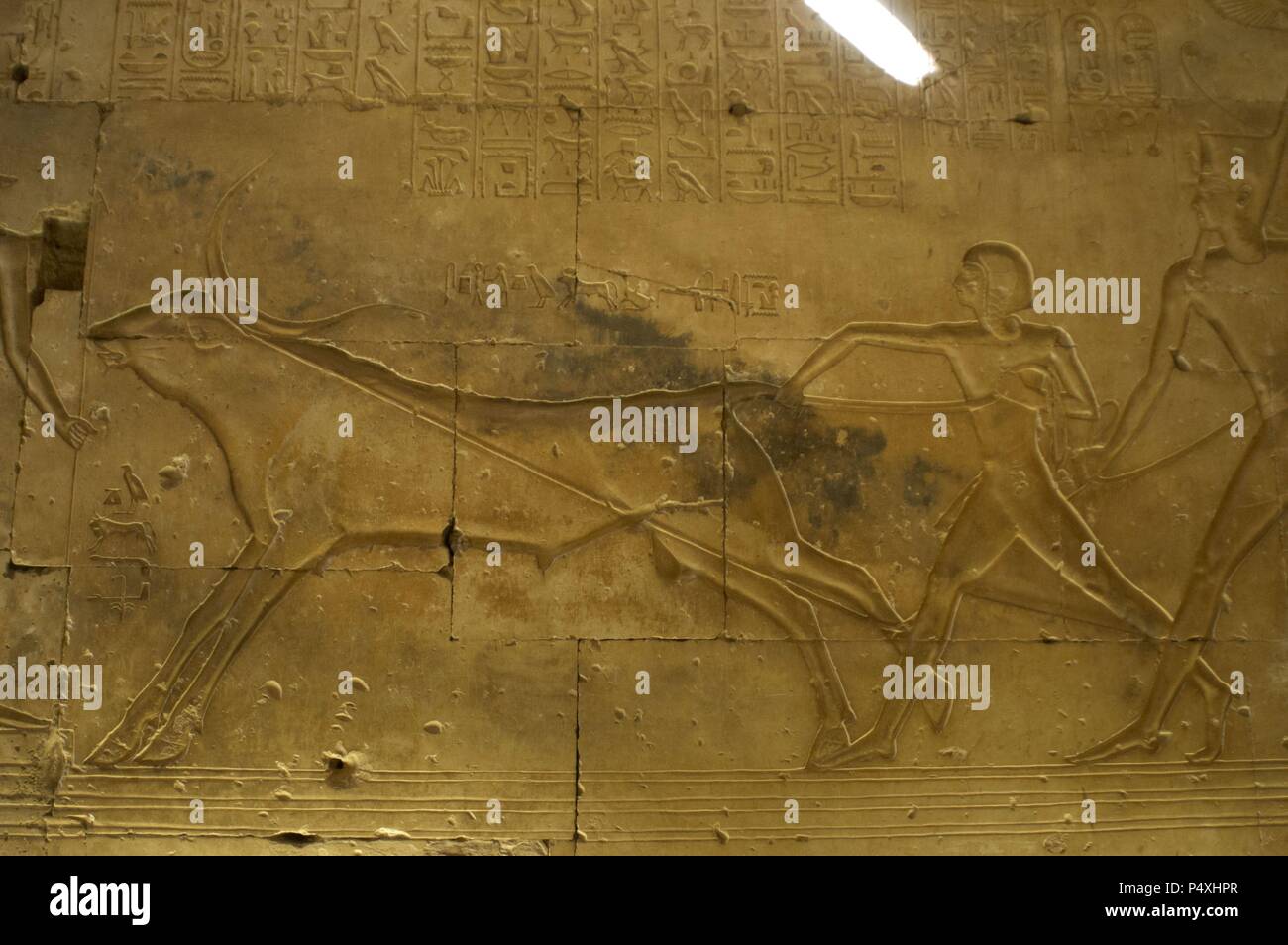 Egyptian Art. Temple of Seti I at Abydos. Relief depicting the pharaoh ...