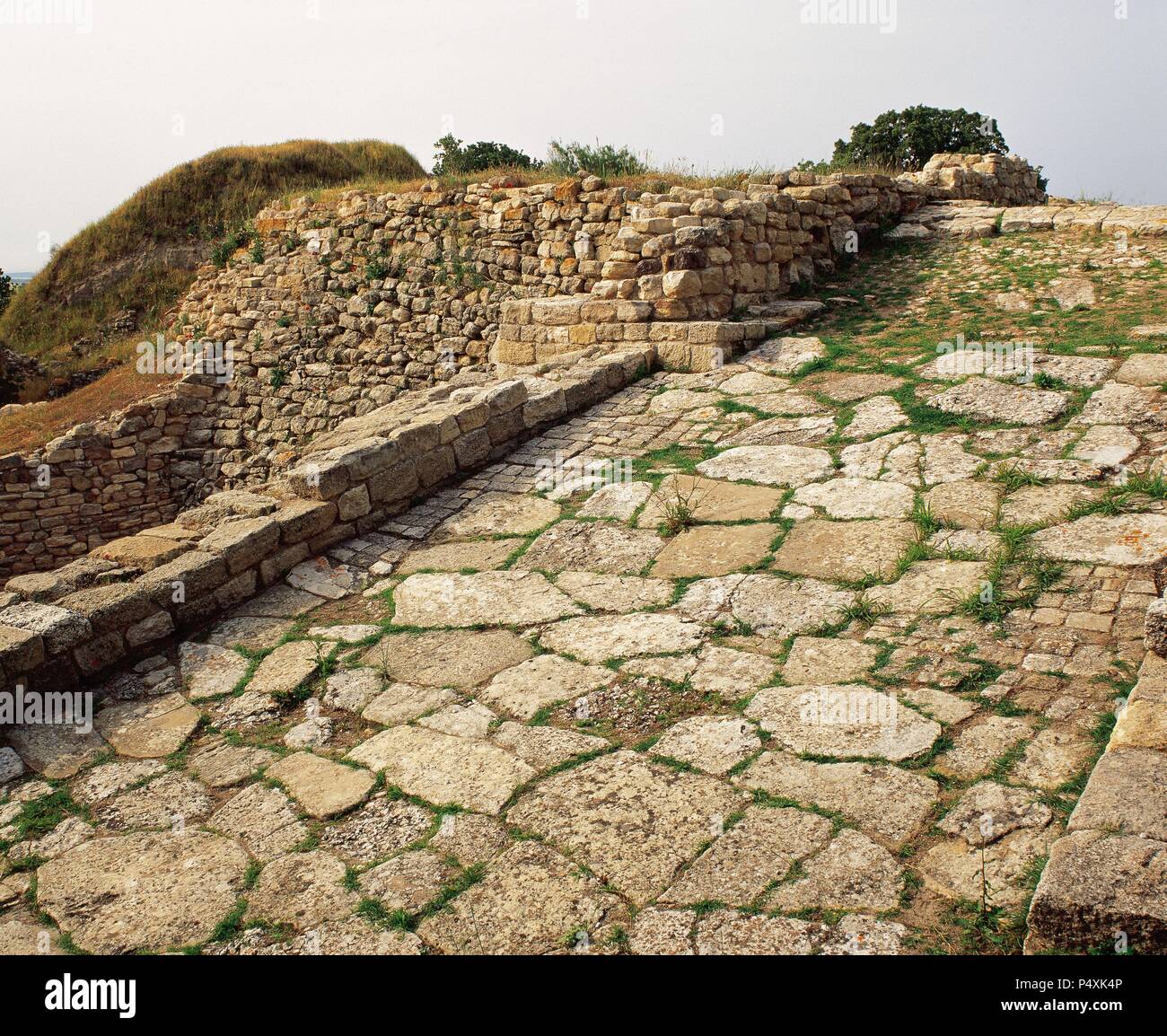 Troy. Ancient city in Anatolia. Troy II stratum(c. 2500-2300 BCE ...