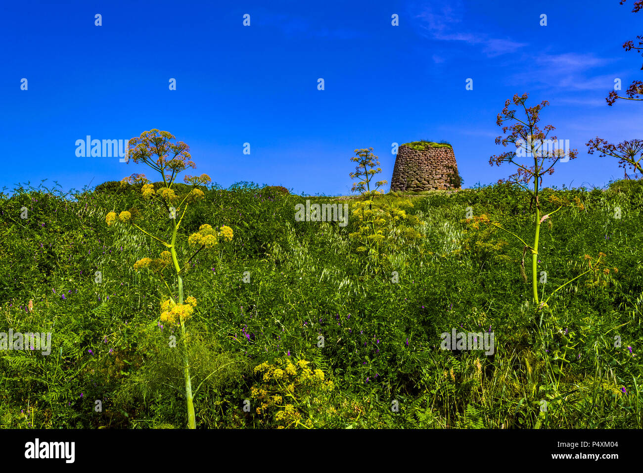 Macomer hi-res stock photography and images - Alamy