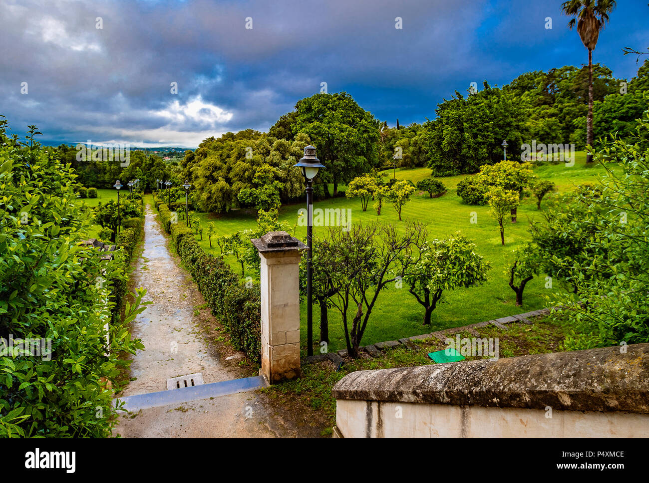 Italy Sardinia Sassari Monserrato Park stairs garden with cypress, palm ...