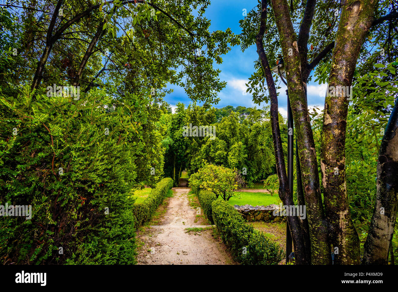 Monserrato park hi-res stock photography and images - Alamy