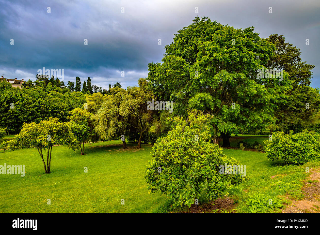 Monserrato park hi-res stock photography and images - Alamy