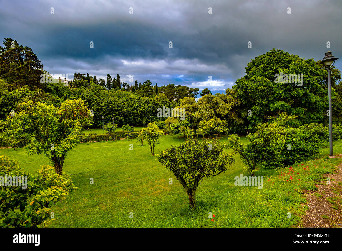 Italy Sardinia Sassari Monserrato Park view on the citrus grove Stock ...