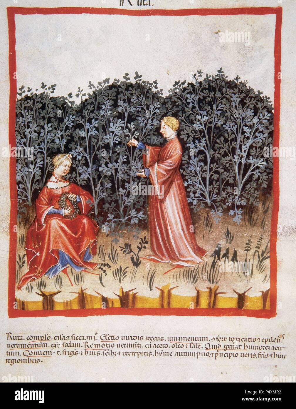 Tacuinum Sanitatis. Medieval Health Handbook, dated before 1400, based ...