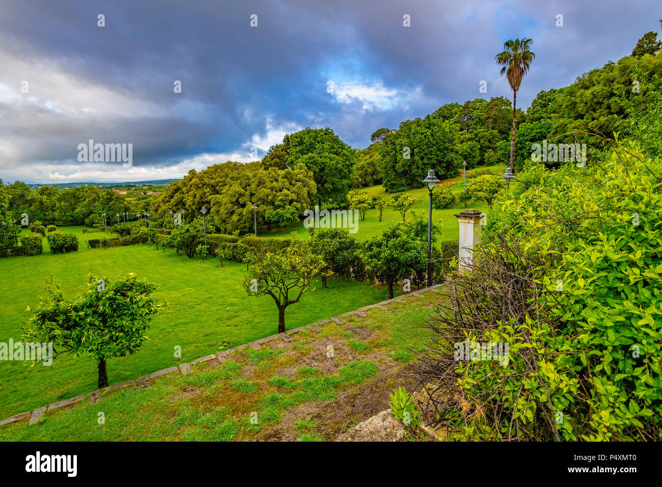 Italy Sardinia Sassari Monserrato Park view on the citrus grove Stock ...