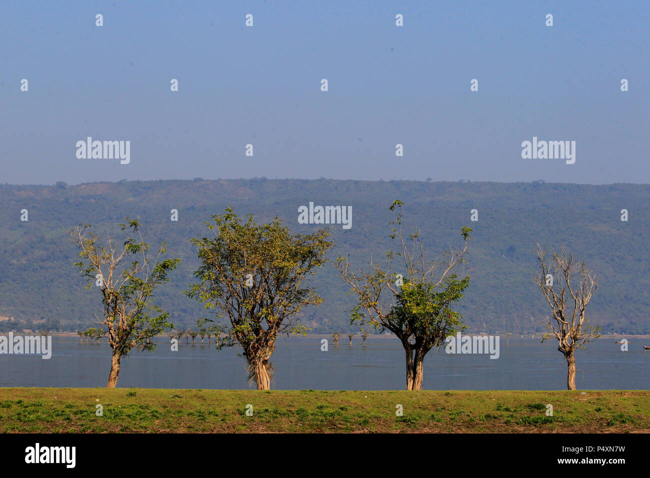 Tanguar Haor is the largest wetland in Bangladesh. It is located in the ...