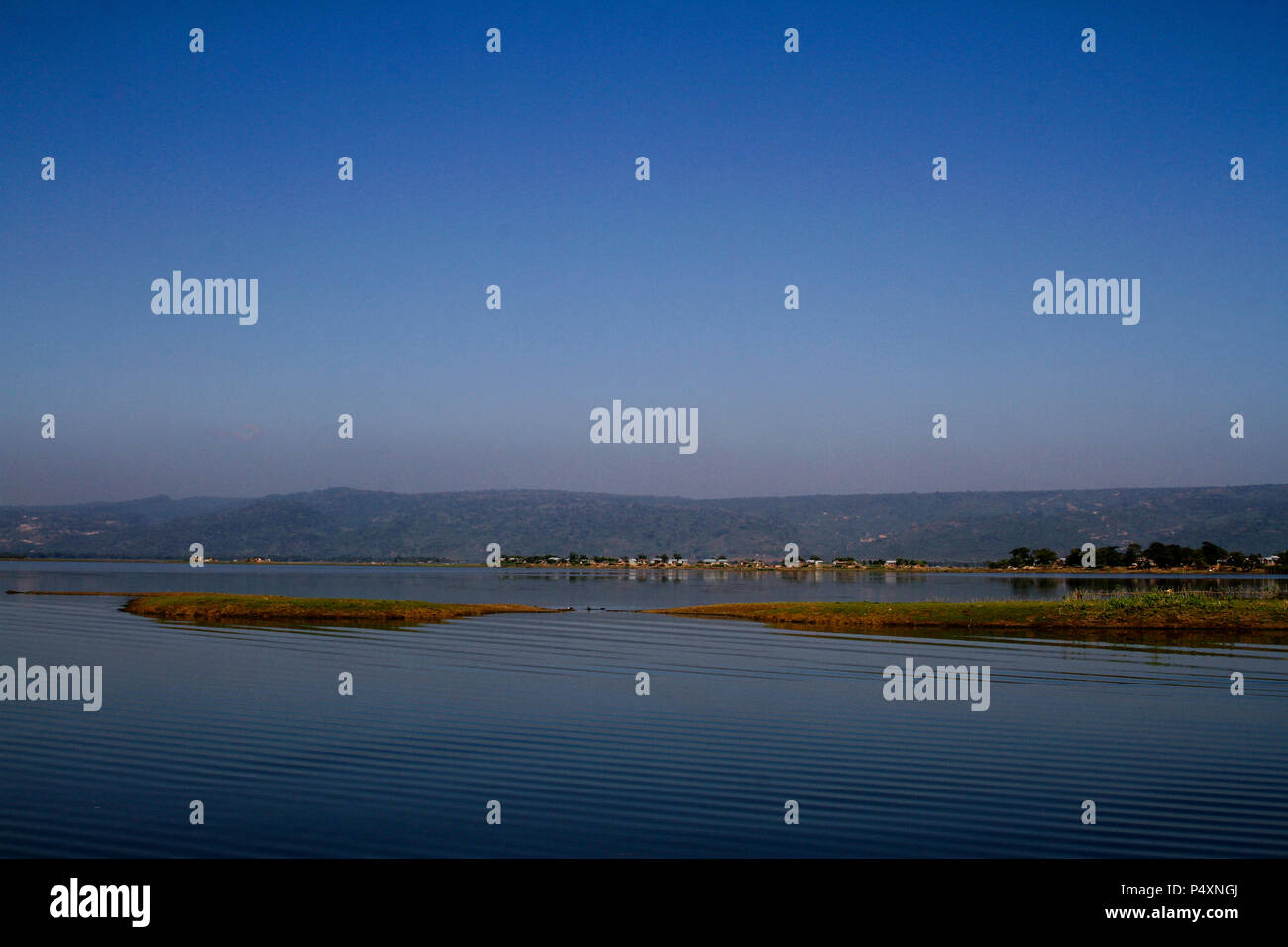 Tanguar haor hi-res stock photography and images - Alamy