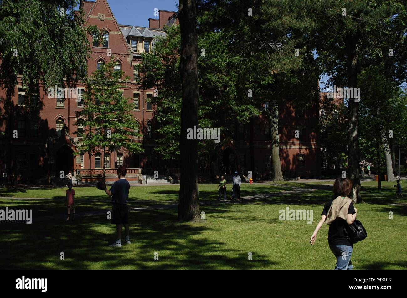 Harvard university campus view hi-res stock photography and images - Alamy