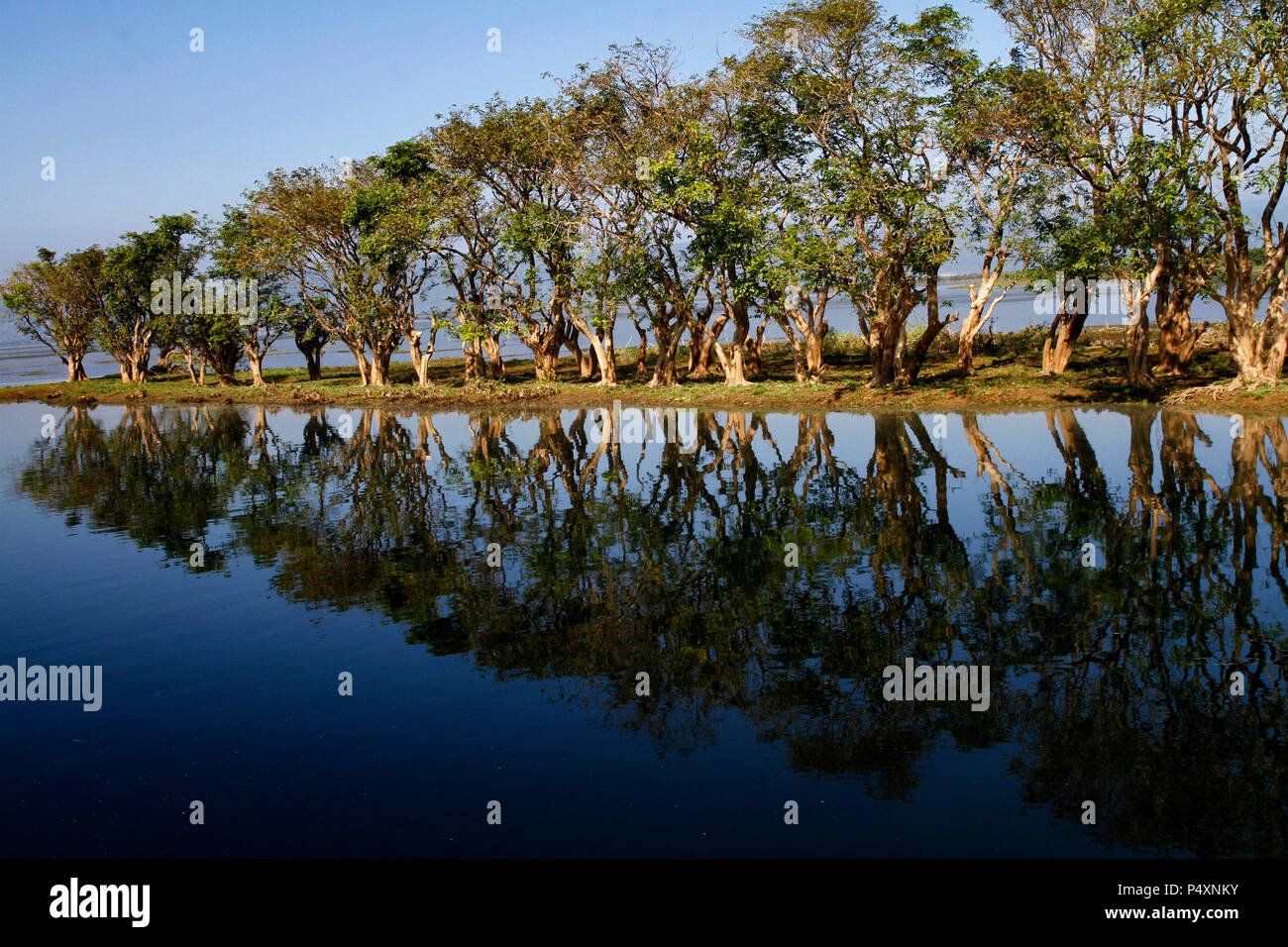 Tanguar haor sunamganj hi-res stock photography and images - Alamy
