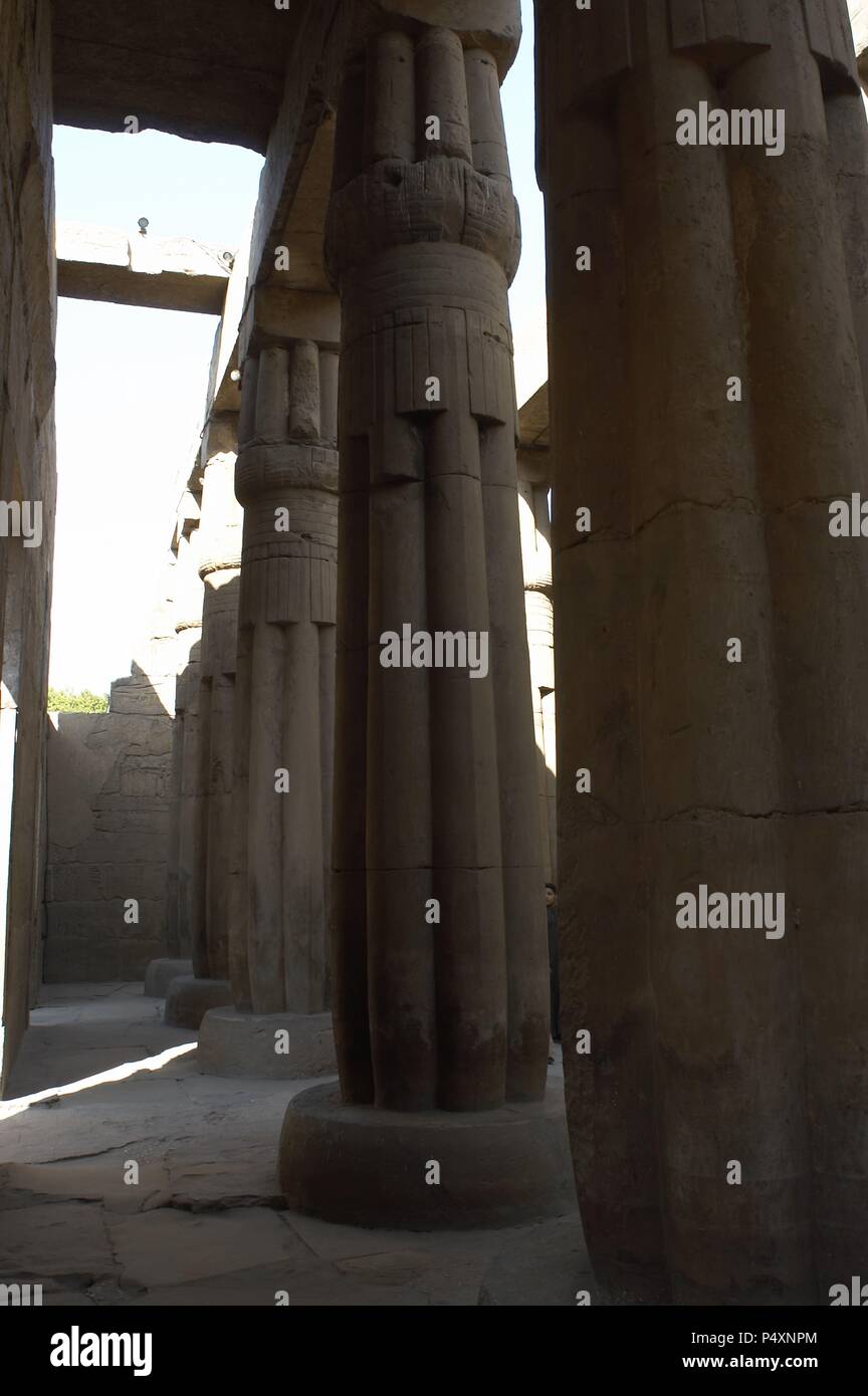 EGYPT. Papyrus column. Offerings room. Temple of Luxor. New Empire ...