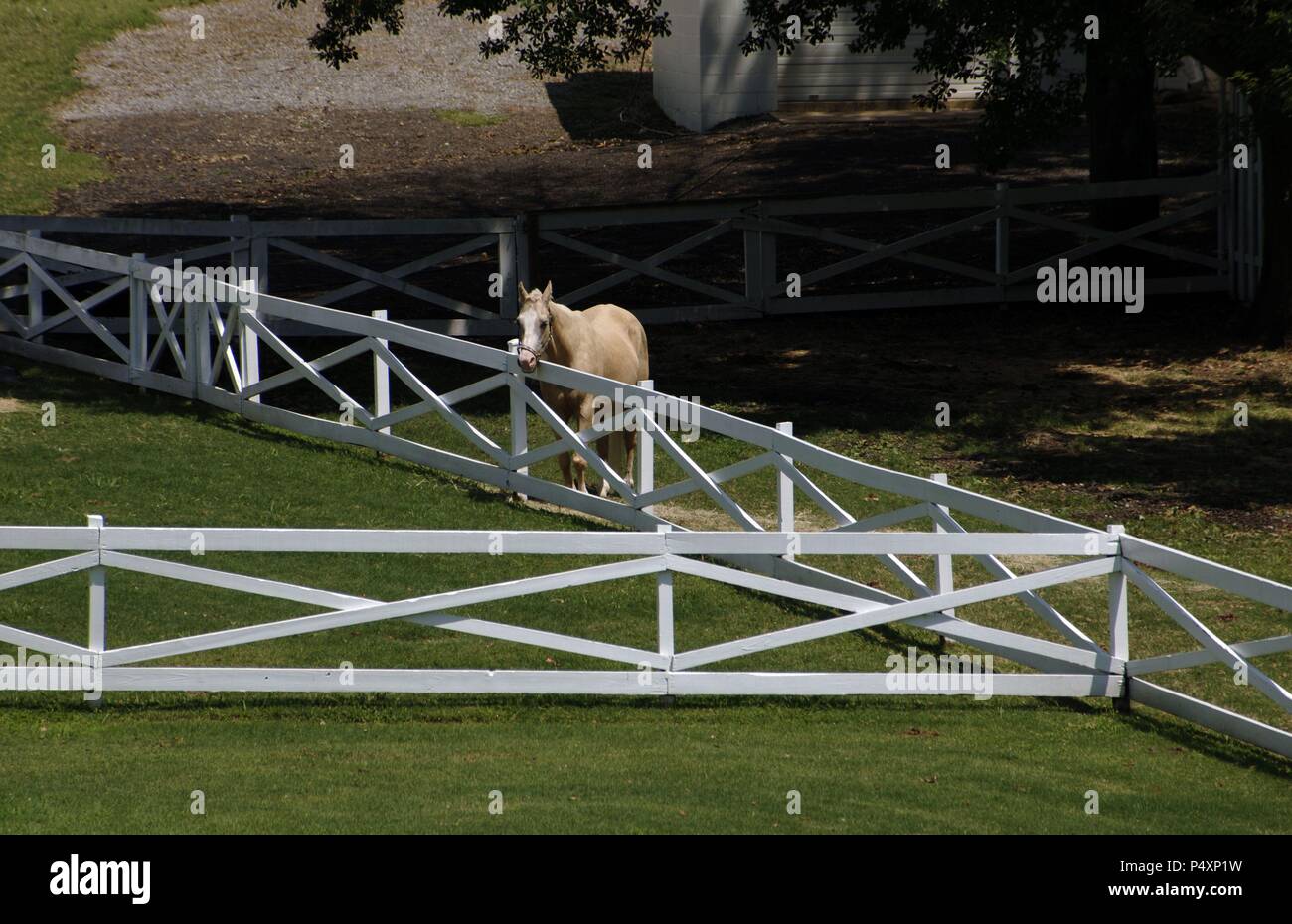 Tennessee. Memphis. Graceland Mansion to Elvis Presley (1935-1977 ...