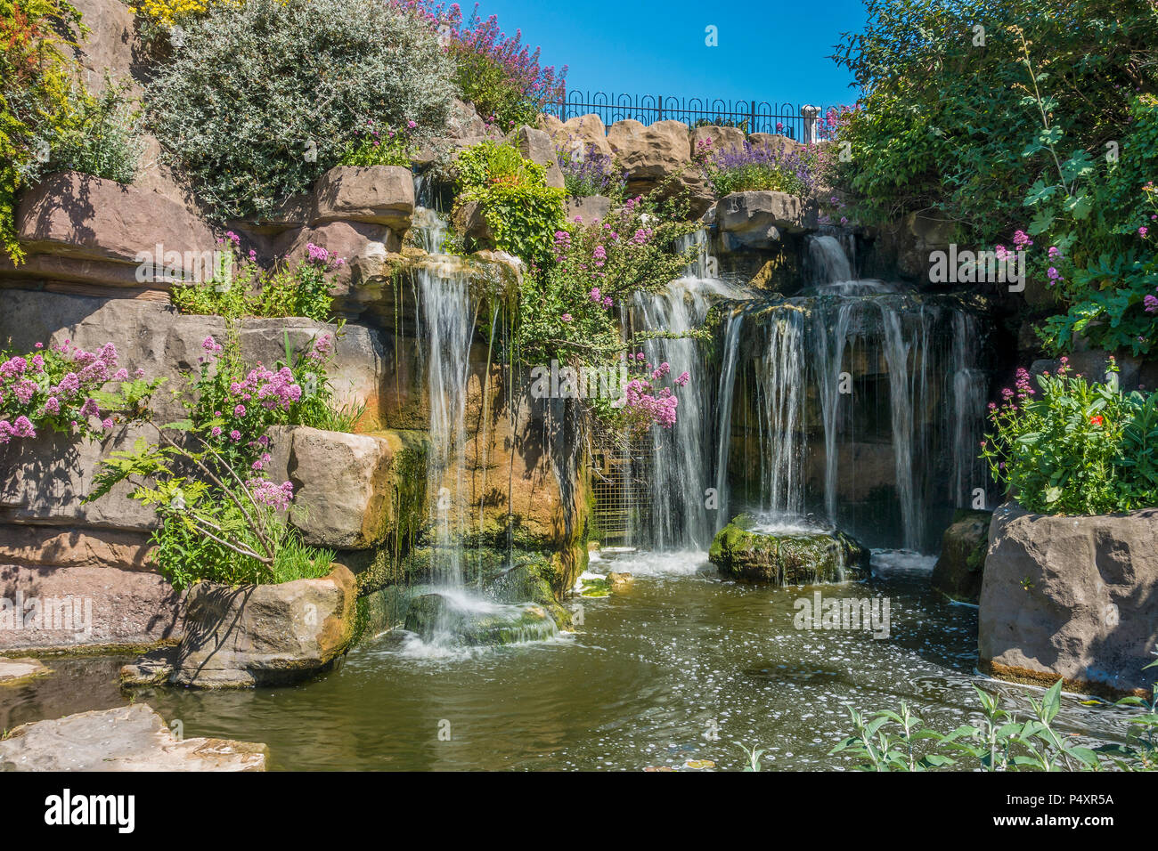 Images of madeira hi-res stock photography and images - Alamy