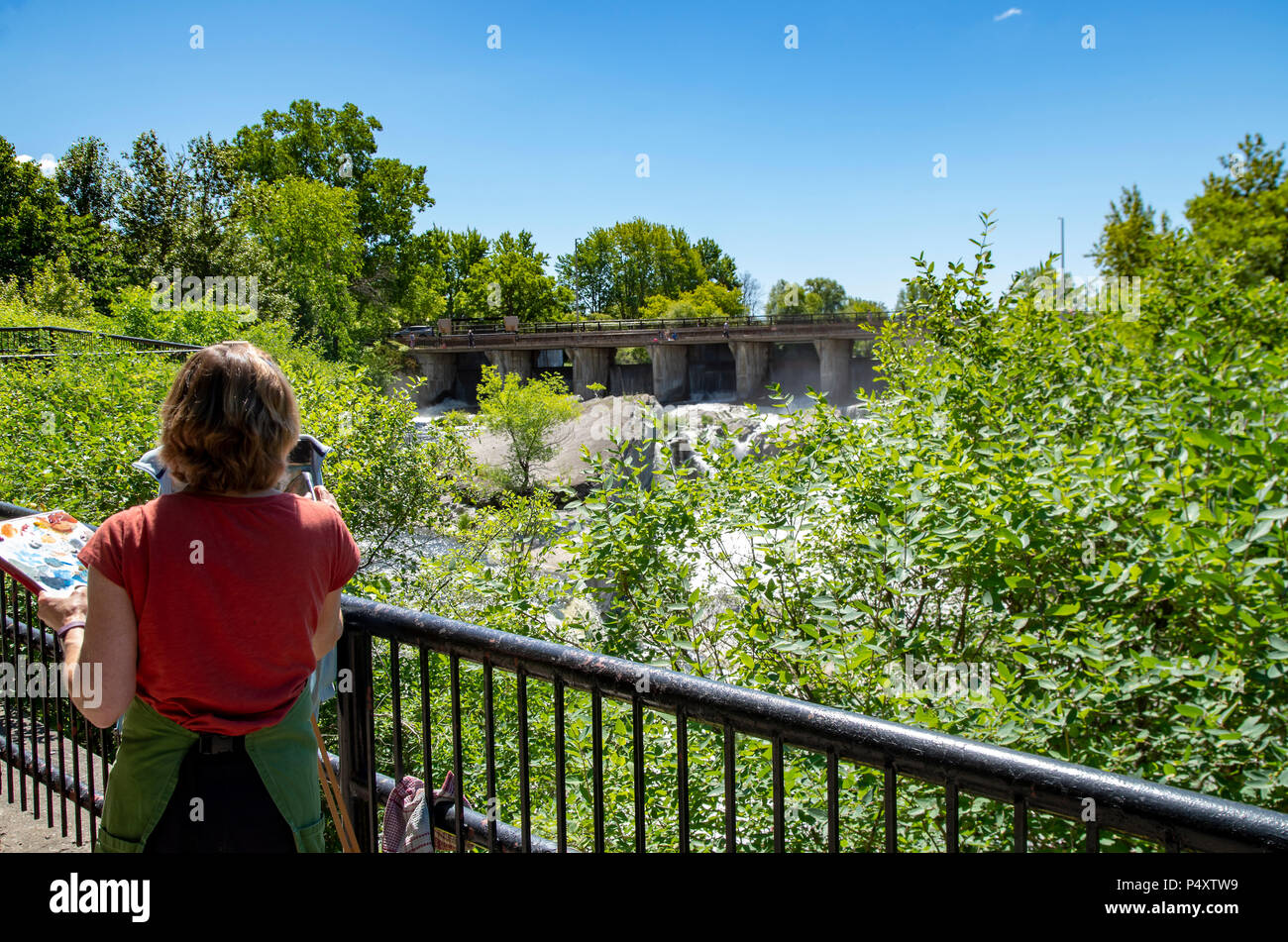 Hog’s Back Park was developed in the 1950s, and it occupies an area of ...