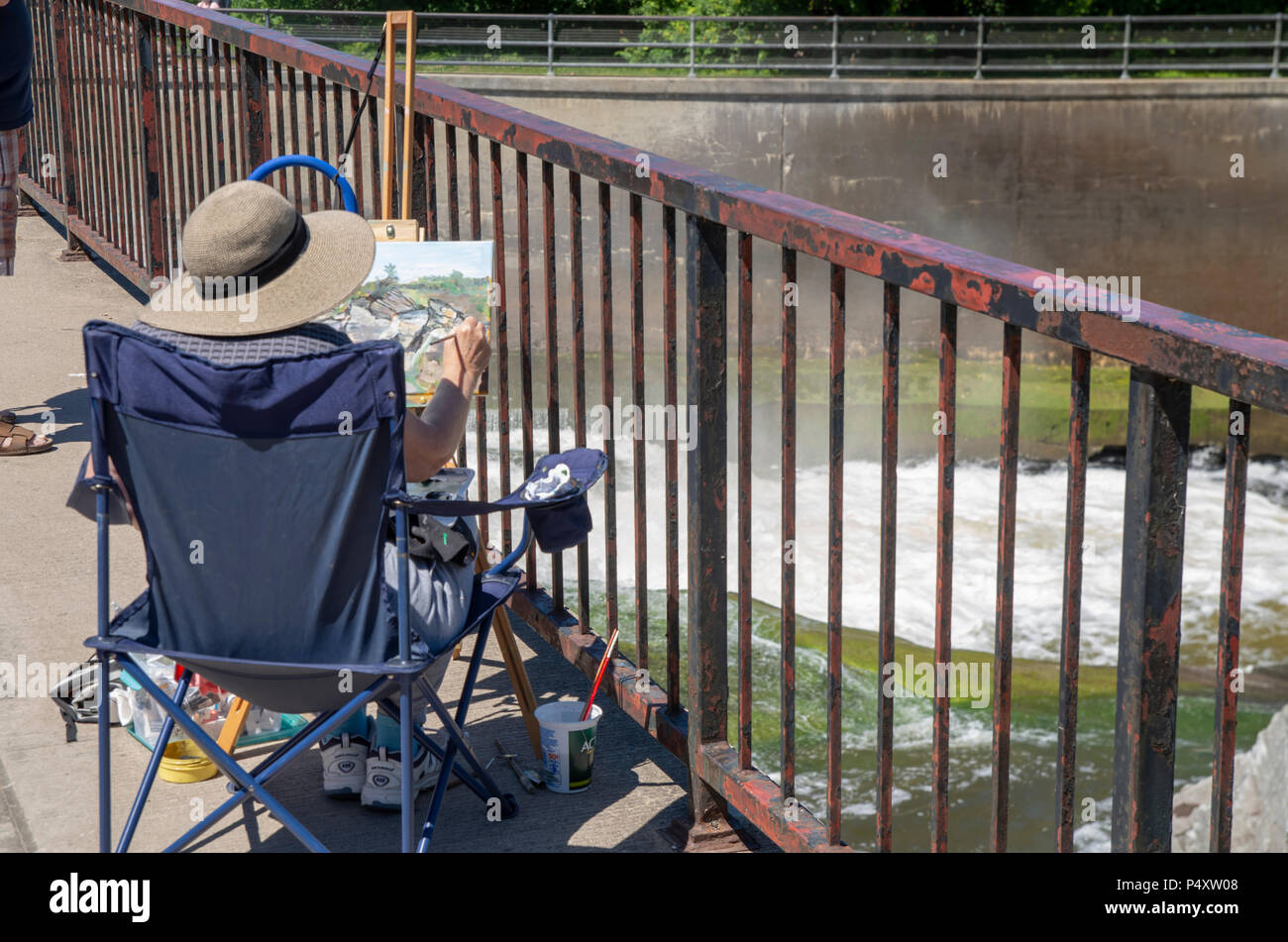 Hog’s Back Park was developed in the 1950s, and it occupies an area of ...