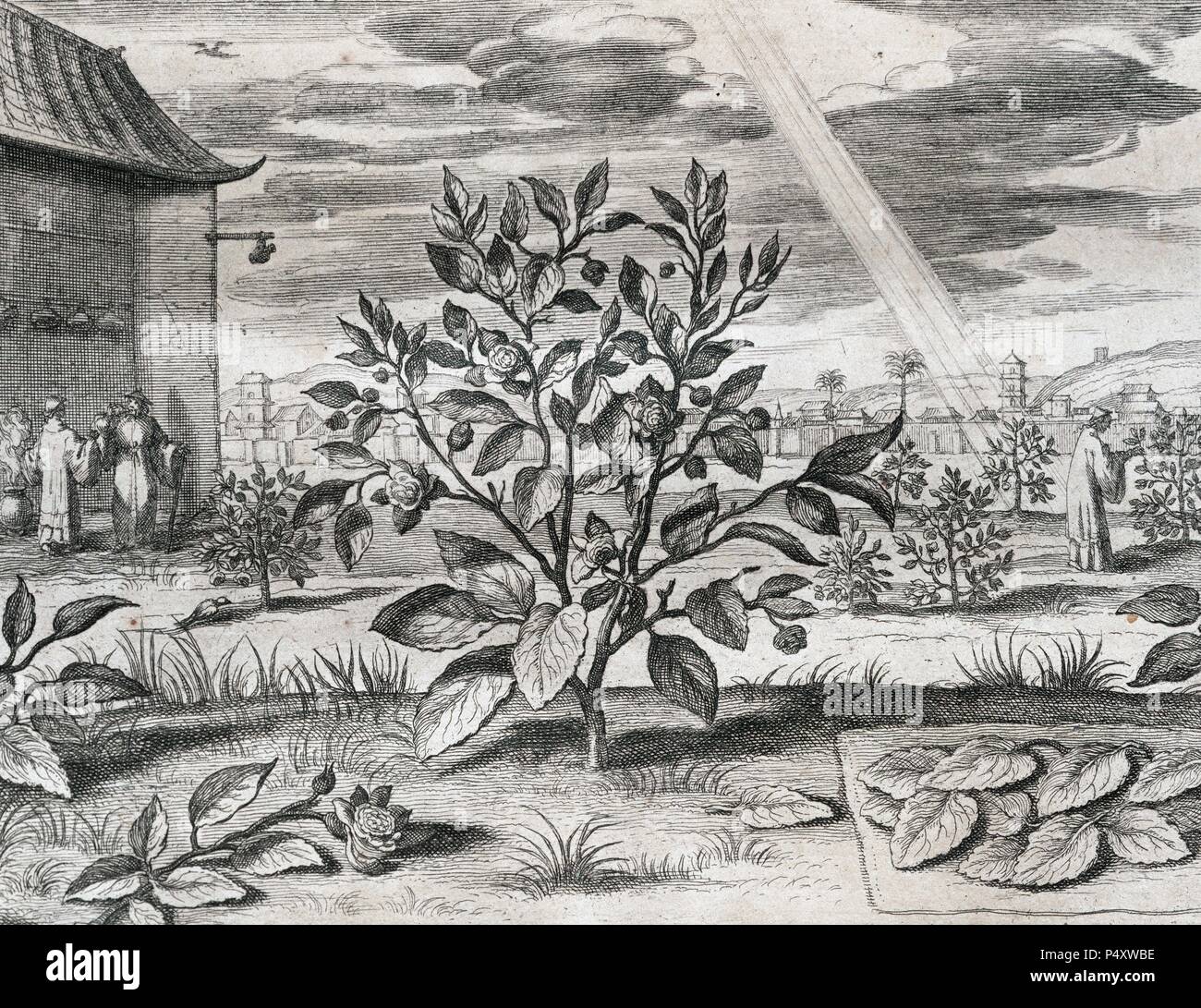 Athanasius Kircher (1601/1602Ð1680) (sometimes erroneously spelled ...