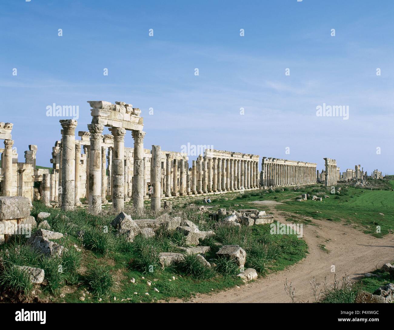 SYRIA. APAMEA (Afamia). Colonnade in Cardo Maximus Avenue Stock Photo ...