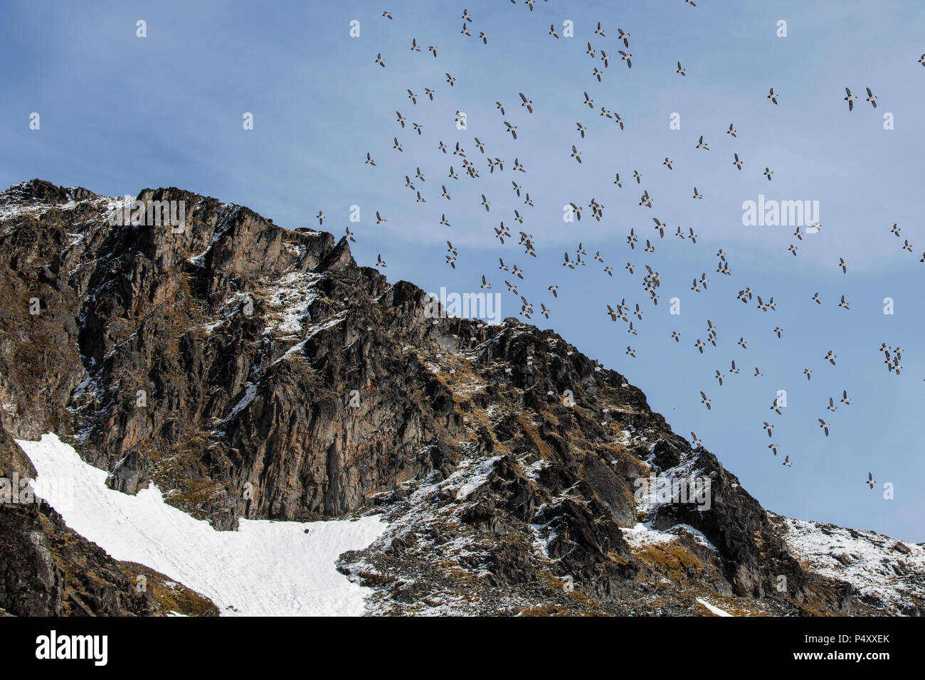 South spitsbergen national park hi-res stock photography and images - Alamy