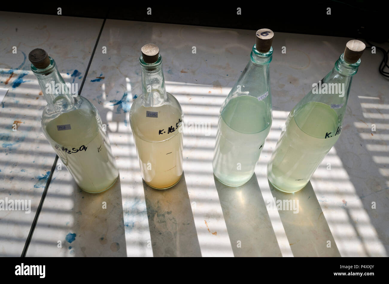 Test water samples in the laboratory of water treatment plant Stock ...