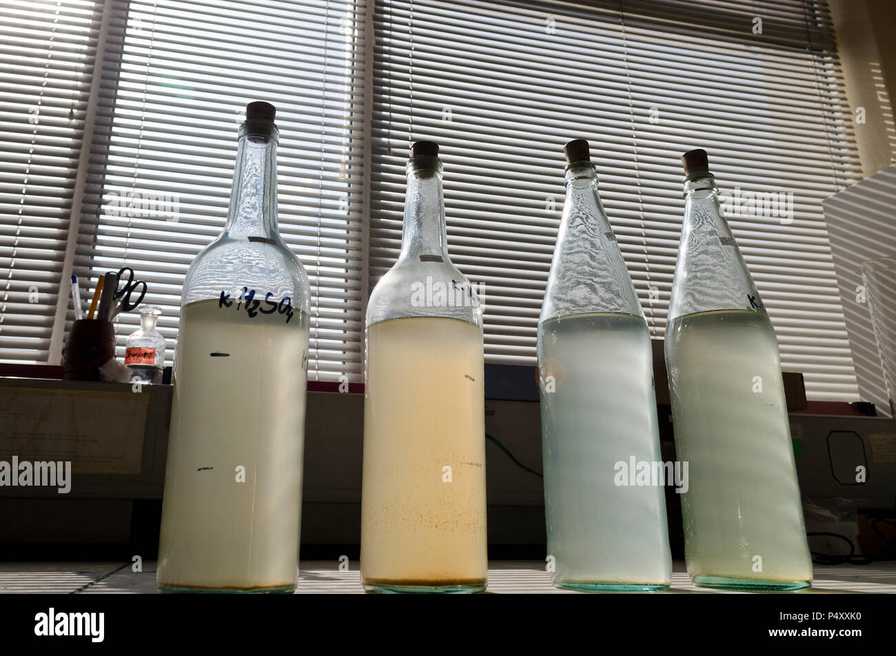 Test water samples in the laboratory of water treatment plant Stock ...