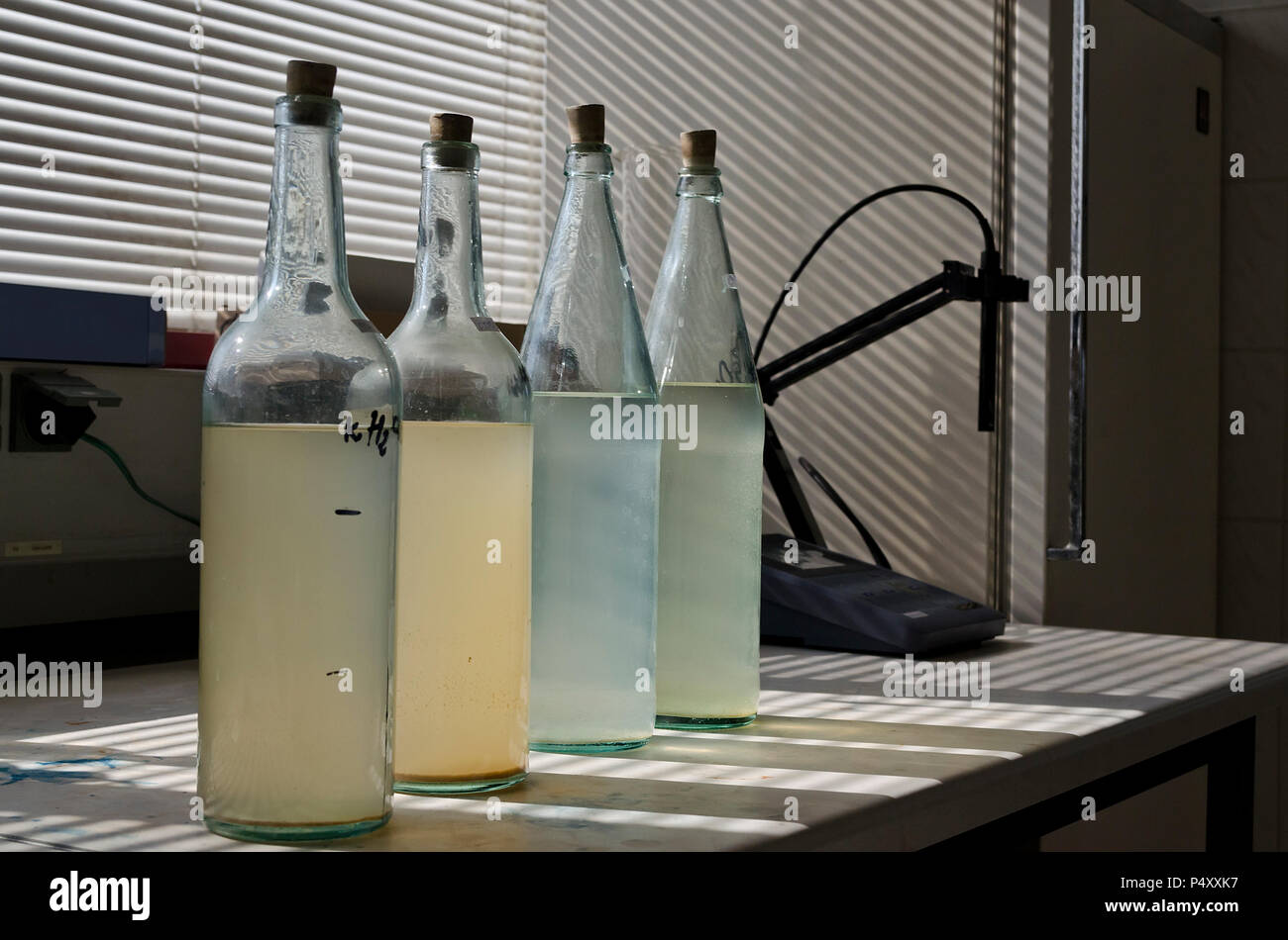 Test water samples in the laboratory of water treatment plant Stock ...