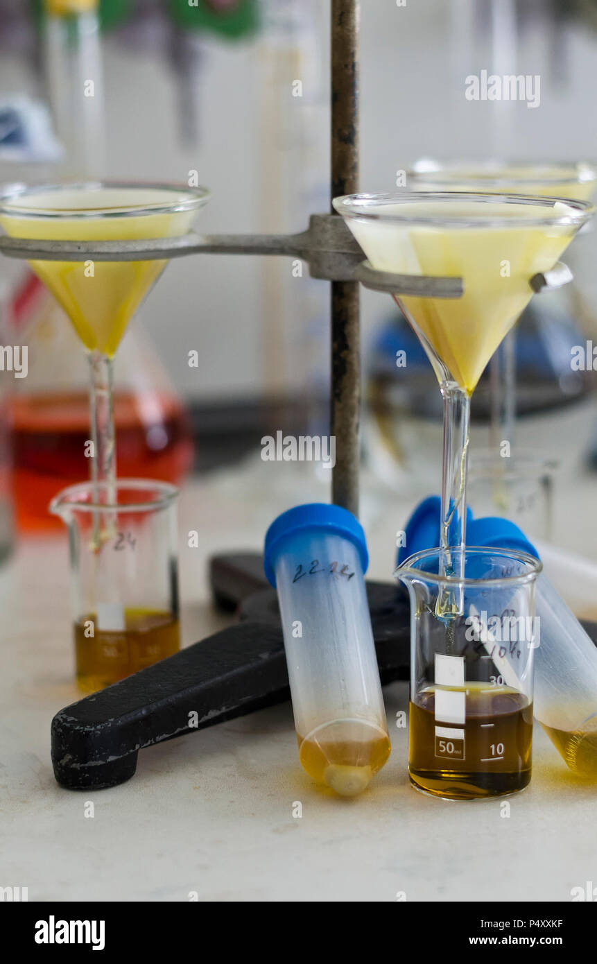 Urine sample-series of tubes with yellow coloring gradient Stock Photo ...