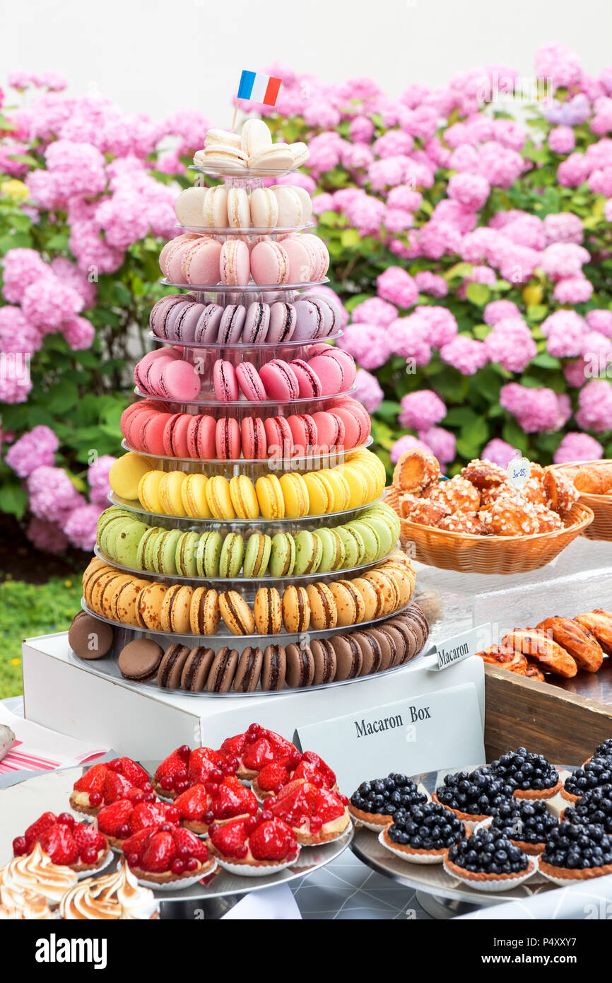 Variation of sweet pastry, pastry fruit bowls with blue berries ...