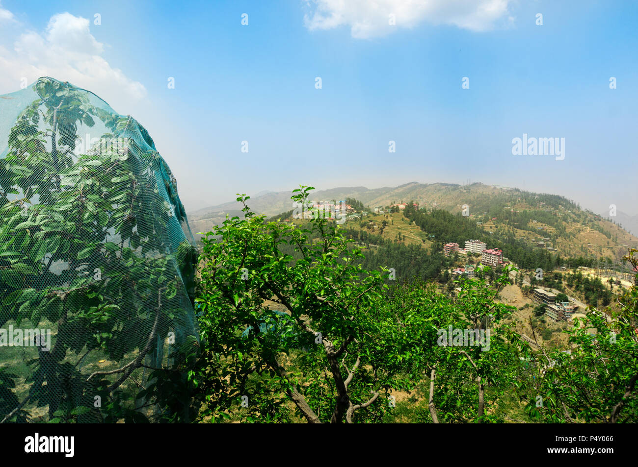 Neeting hi-res stock photography and images - Alamy