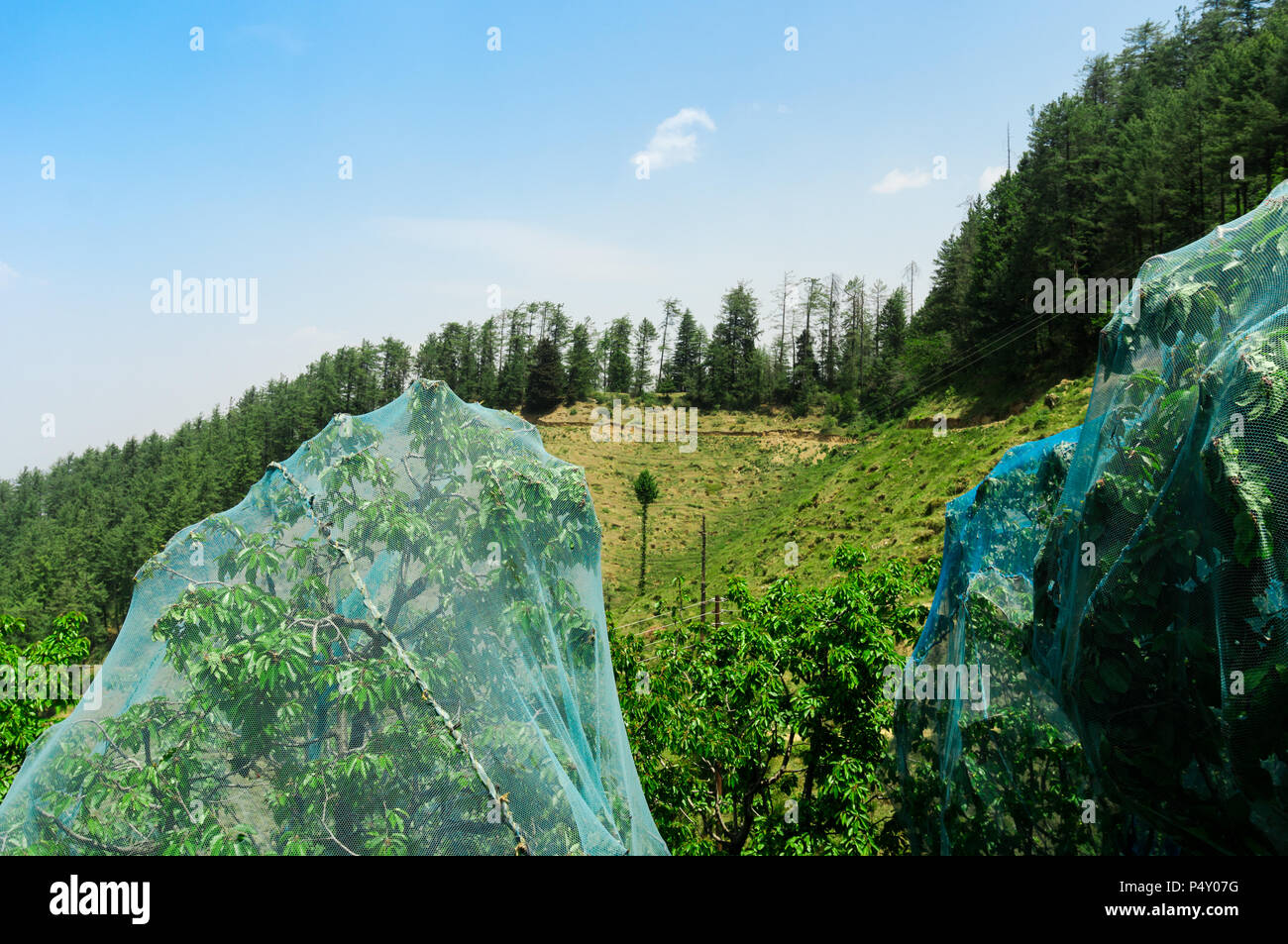 Neeting hi-res stock photography and images - Alamy