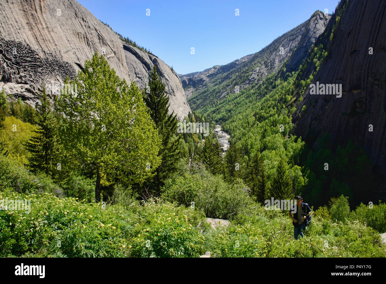 Looking down the Irtysh River, Keketuohai National Park, Xinjiang ...
