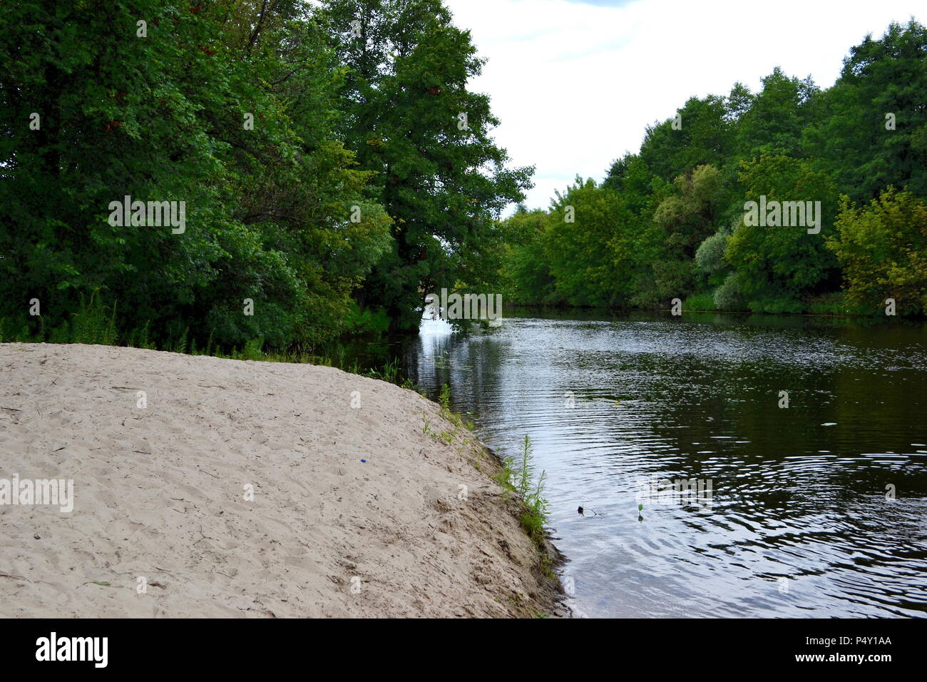 On the bank of a small river sultry summer evening Stock Photo - Alamy