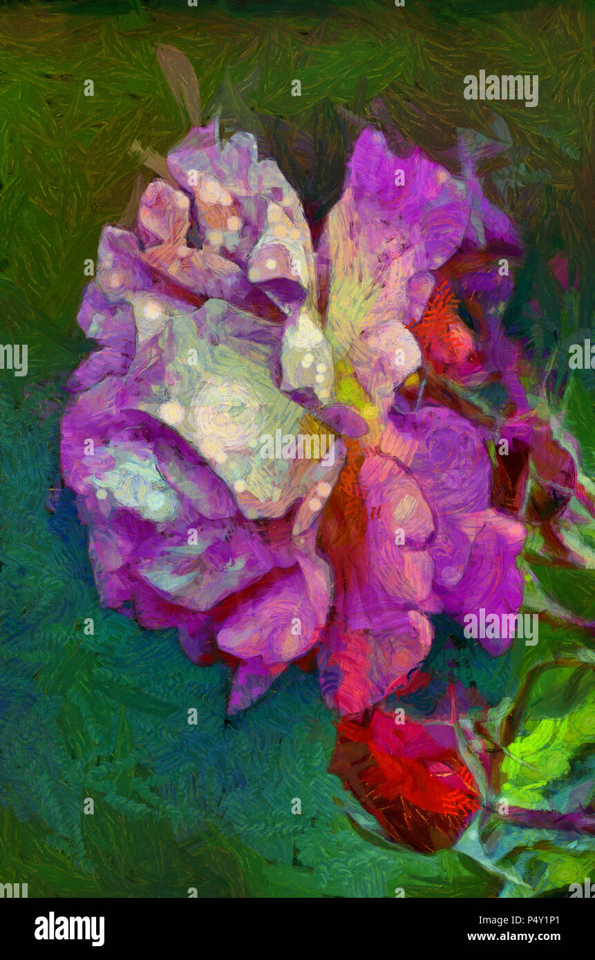 Flowers pink roses, rose ( Latin Rosa Stock Photo - Alamy