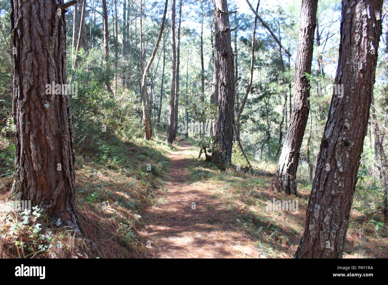 Oaxaca region mixteca hi-res stock photography and images - Alamy