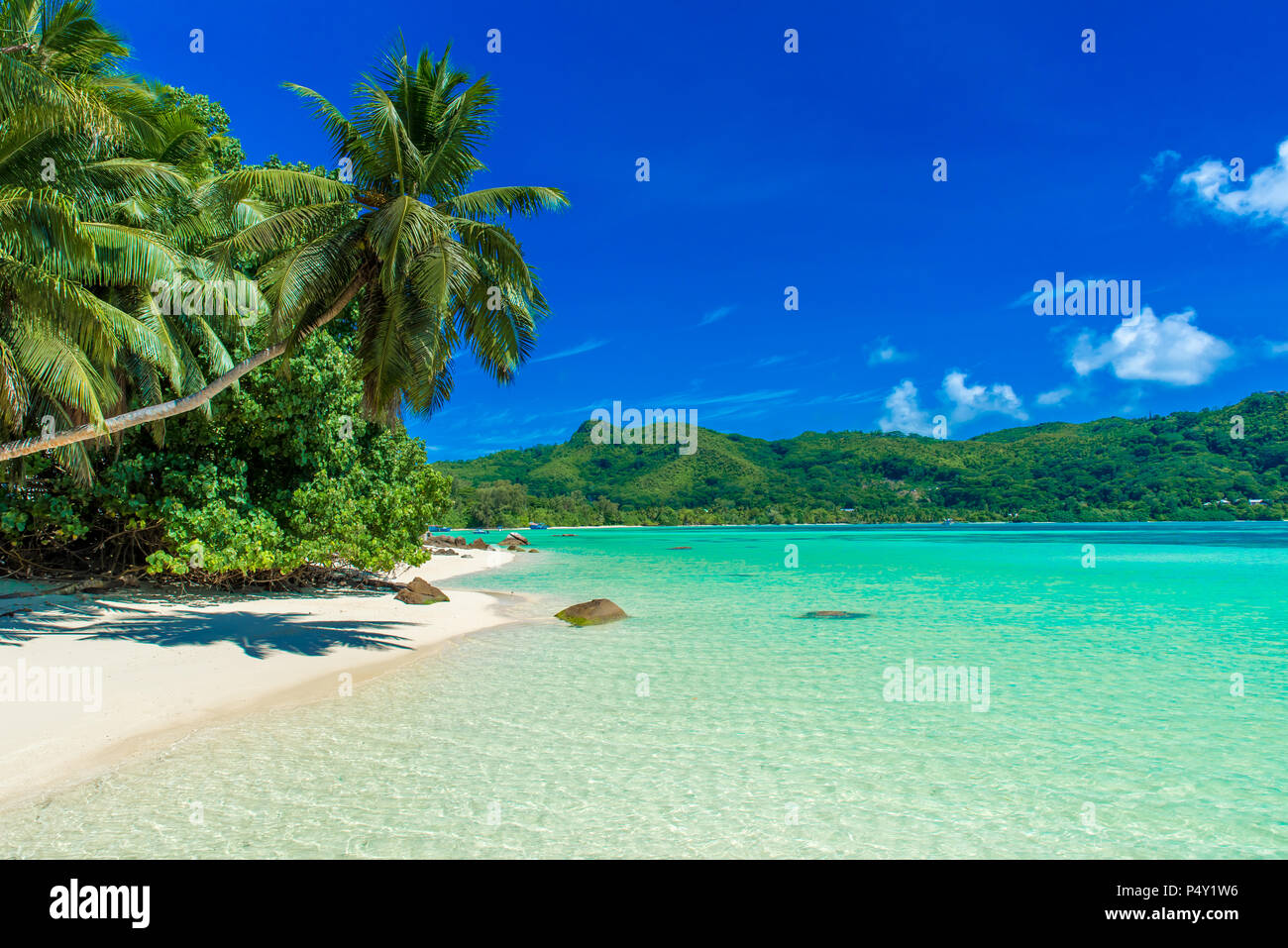Anse a La Mouche - Paradise beach in Seychelles, Mahe Stock Photo - Alamy