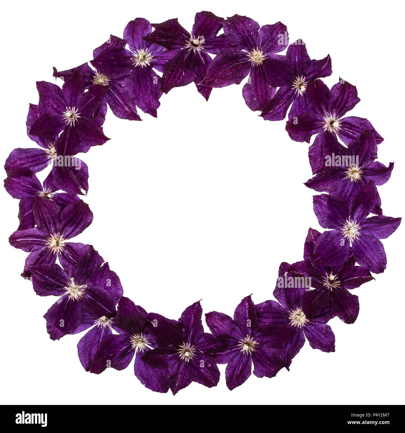 Round floral frame blue Cut Out Stock Images & Pictures - Alamy