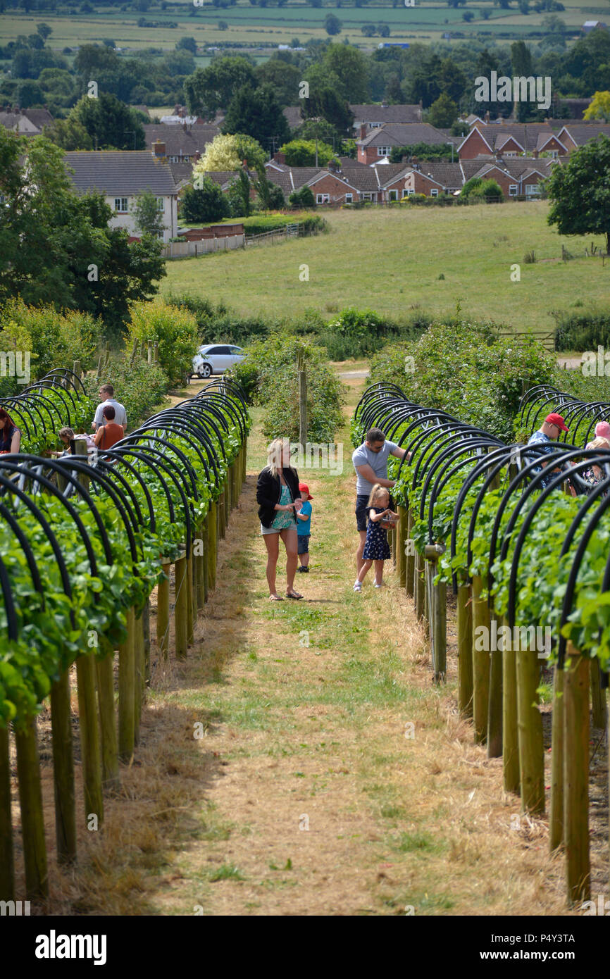 Harpole hi-res stock photography and images - Alamy