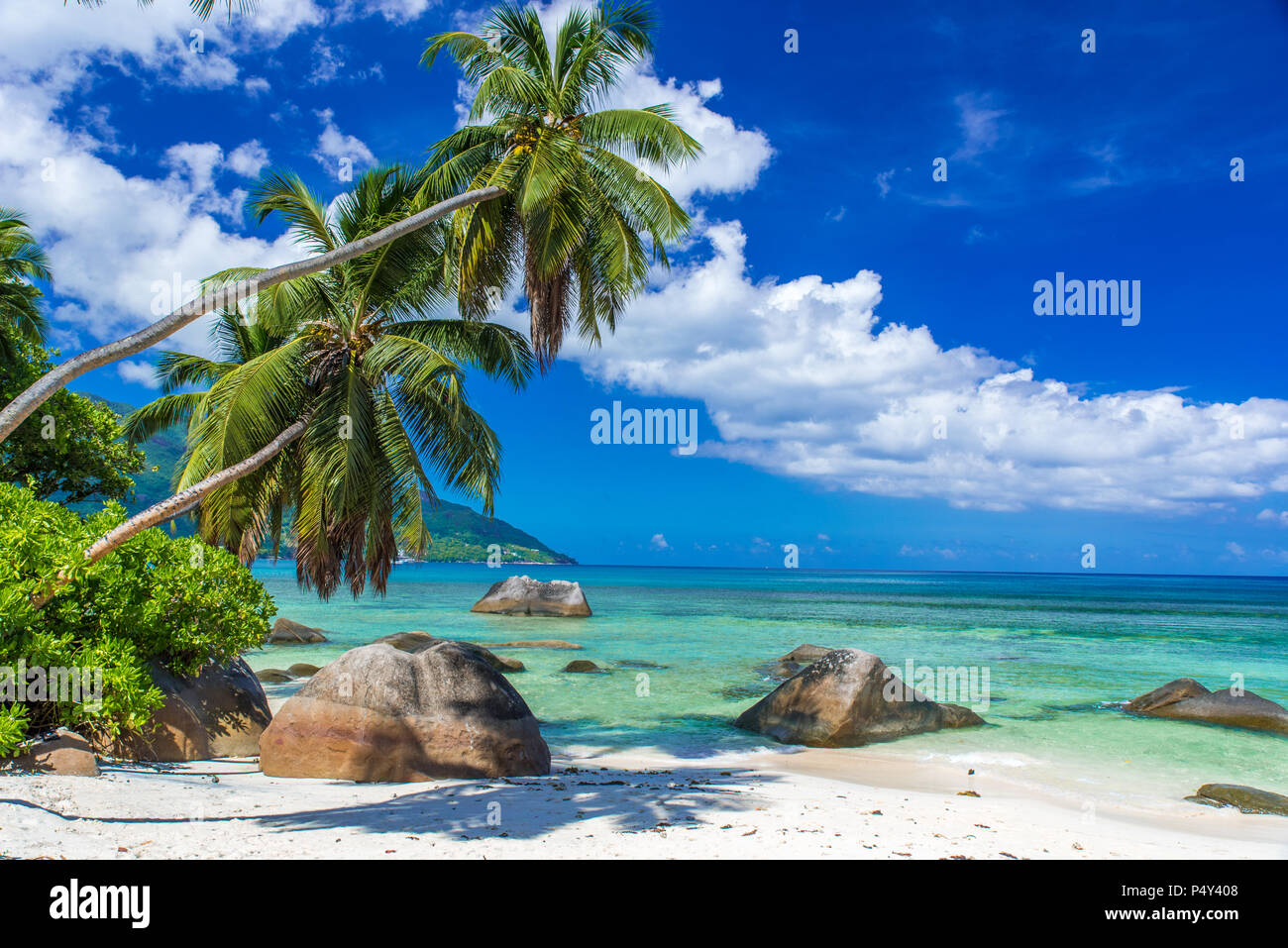 Baie Beau Vallon - paradise beach on island Mahe - beautiful coast of ...
